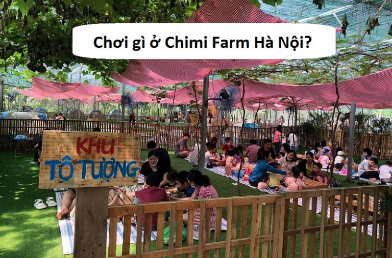 Review 3 vườn dâu tây Chimi Farm Hà Nội 2026: địa chỉ, giá vé A-Z